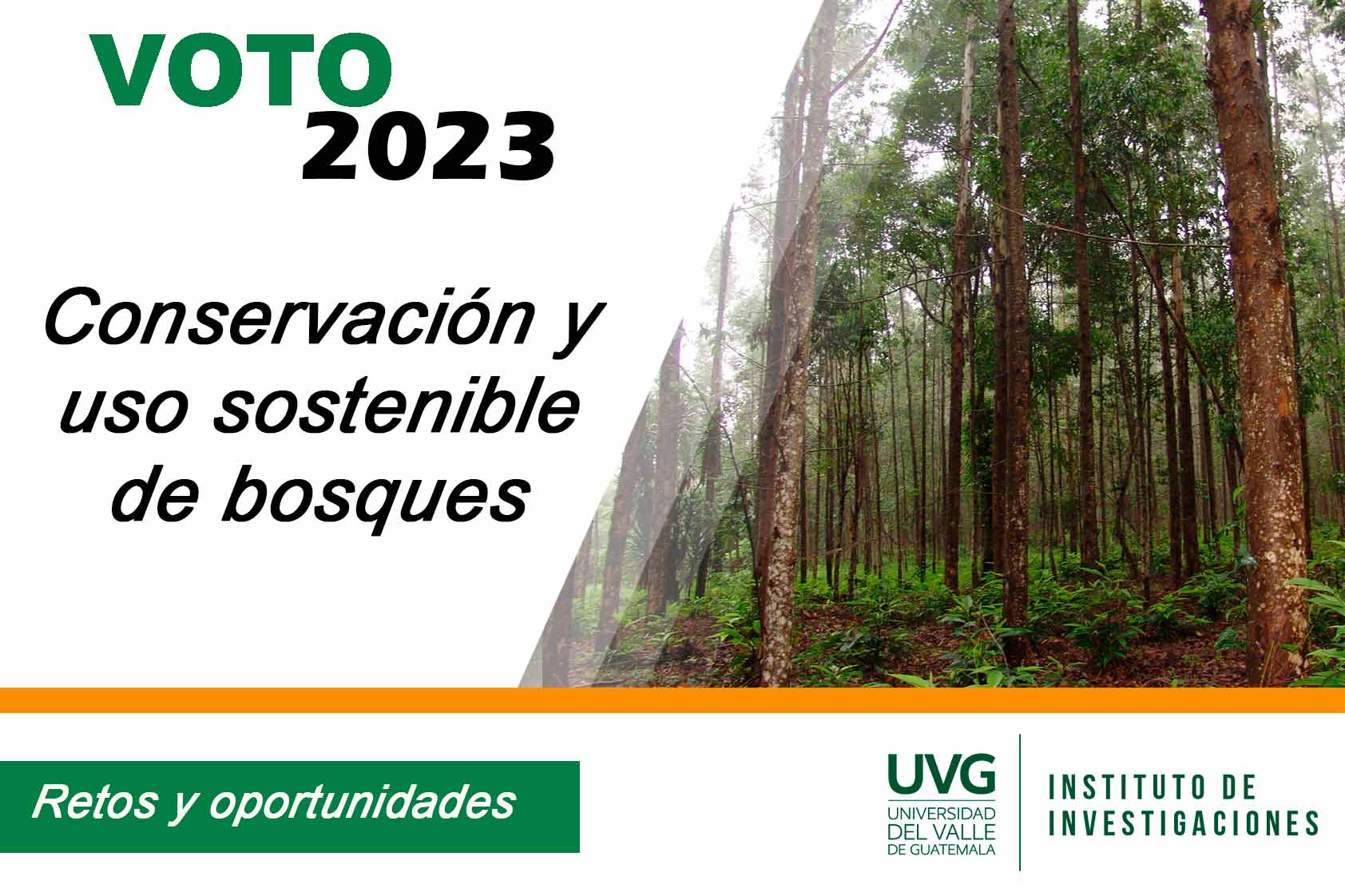 Voto 2023 Archives | Actualidad UVG